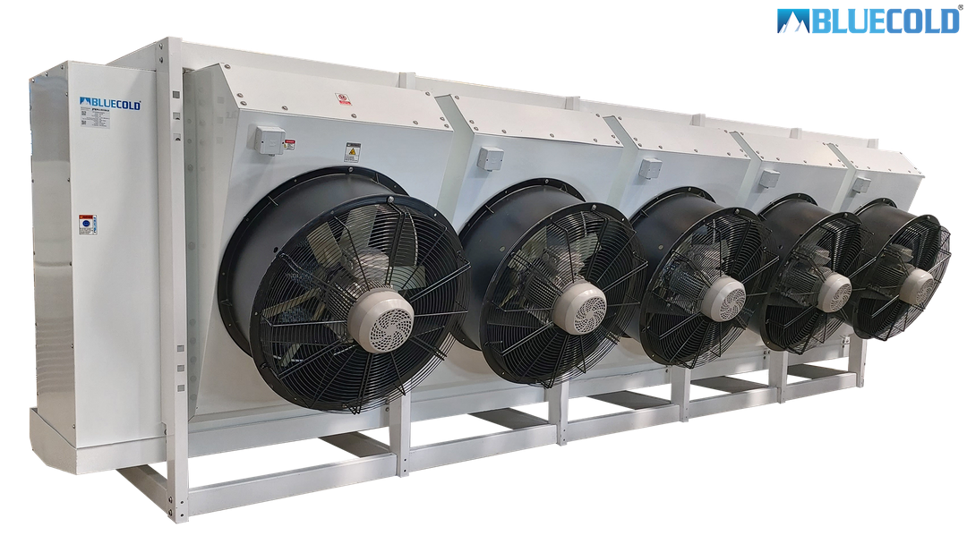 Blast Freezer and chiller for sea food, curd and meat