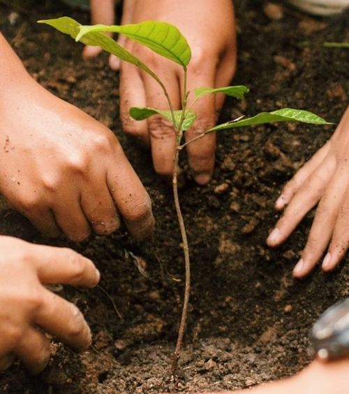 Careers - B1G1: Business For Good