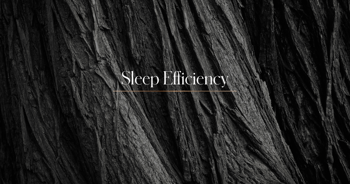 Sleep Efficiency | Physiology of Sleep | Bryte