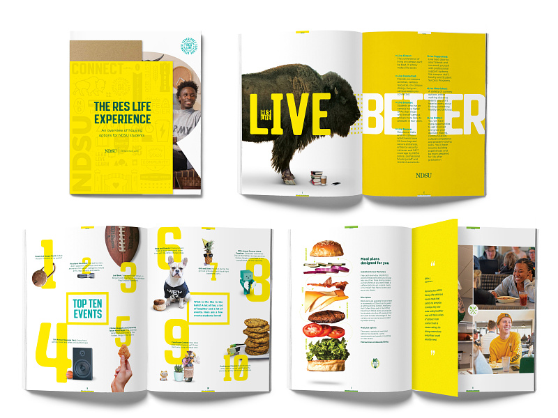 24 Product Brochure Design Examples to Get Inspired | Hatchly