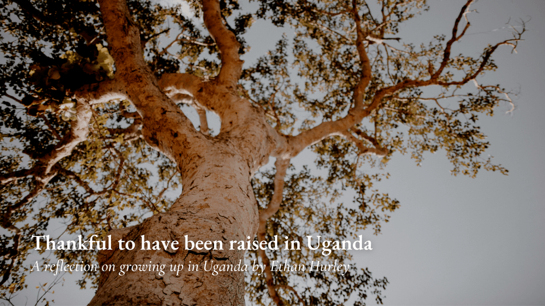 Sufficiency of Scripture (SOS) Ministries