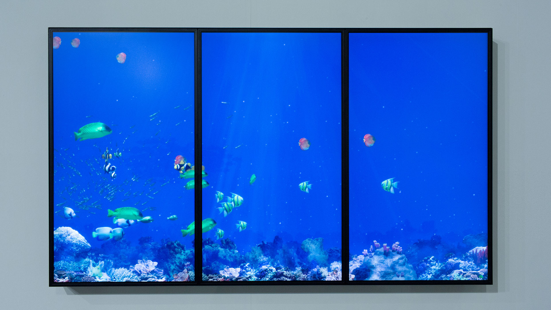 Deep Blue Interactive Aquarium