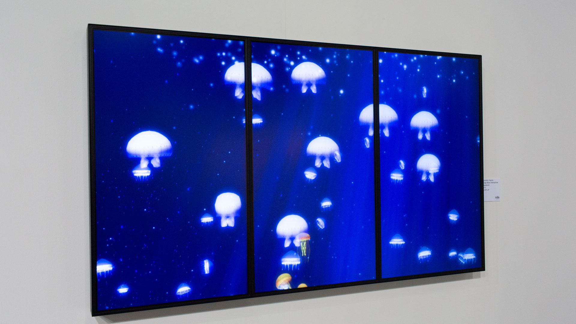 Deep Blue Interactive Aquarium