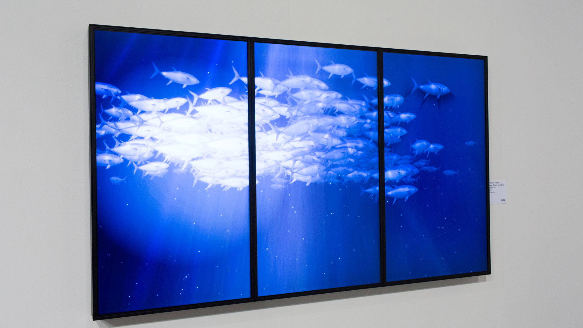 Deep Blue Interactive Aquarium