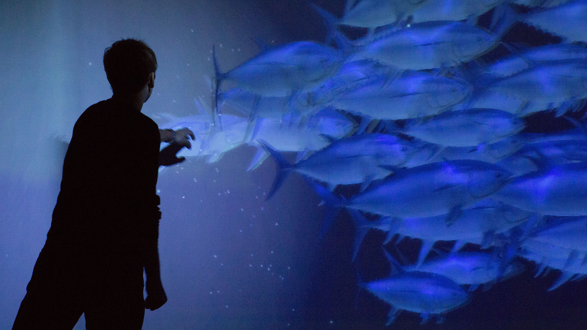 Deep Blue Interactive Aquarium (Immersive)