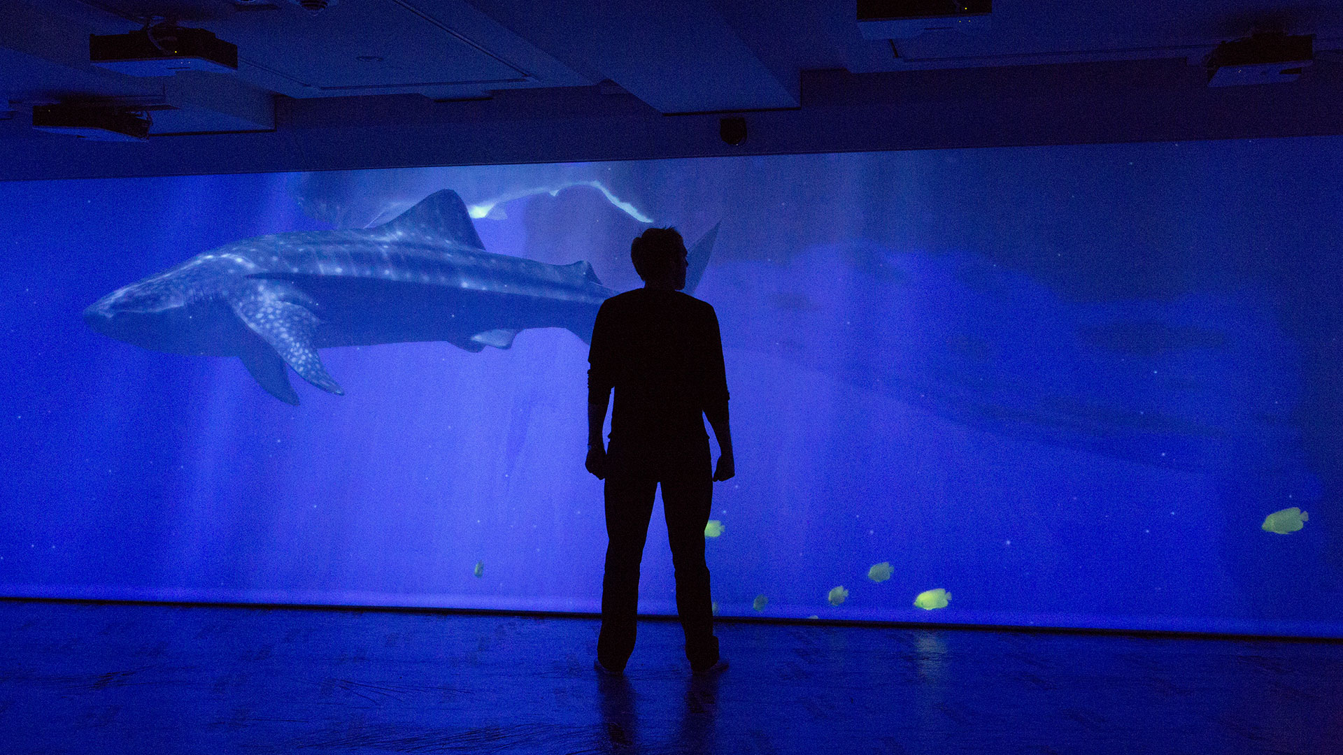 Deep Blue Interactive Aquarium (Immersive)
