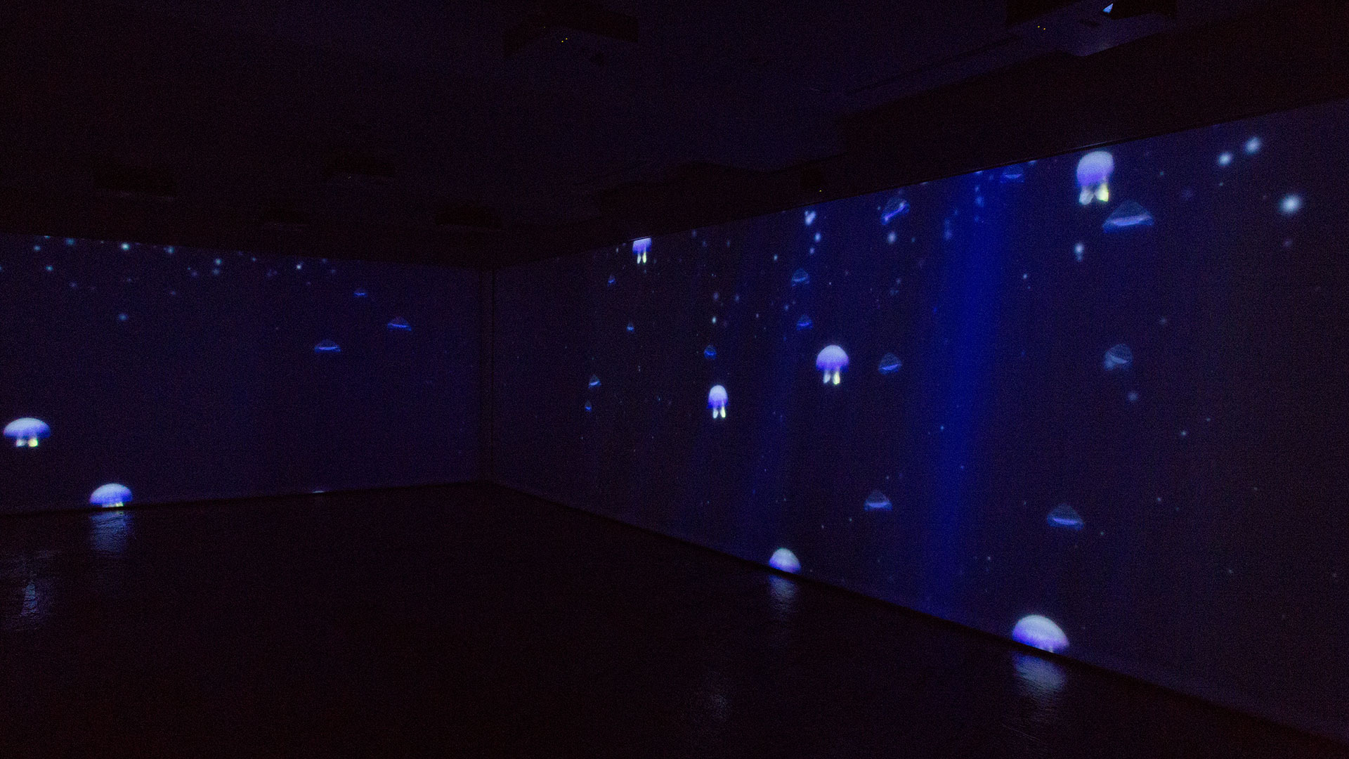 Deep Blue Interactive Aquarium (Immersive)