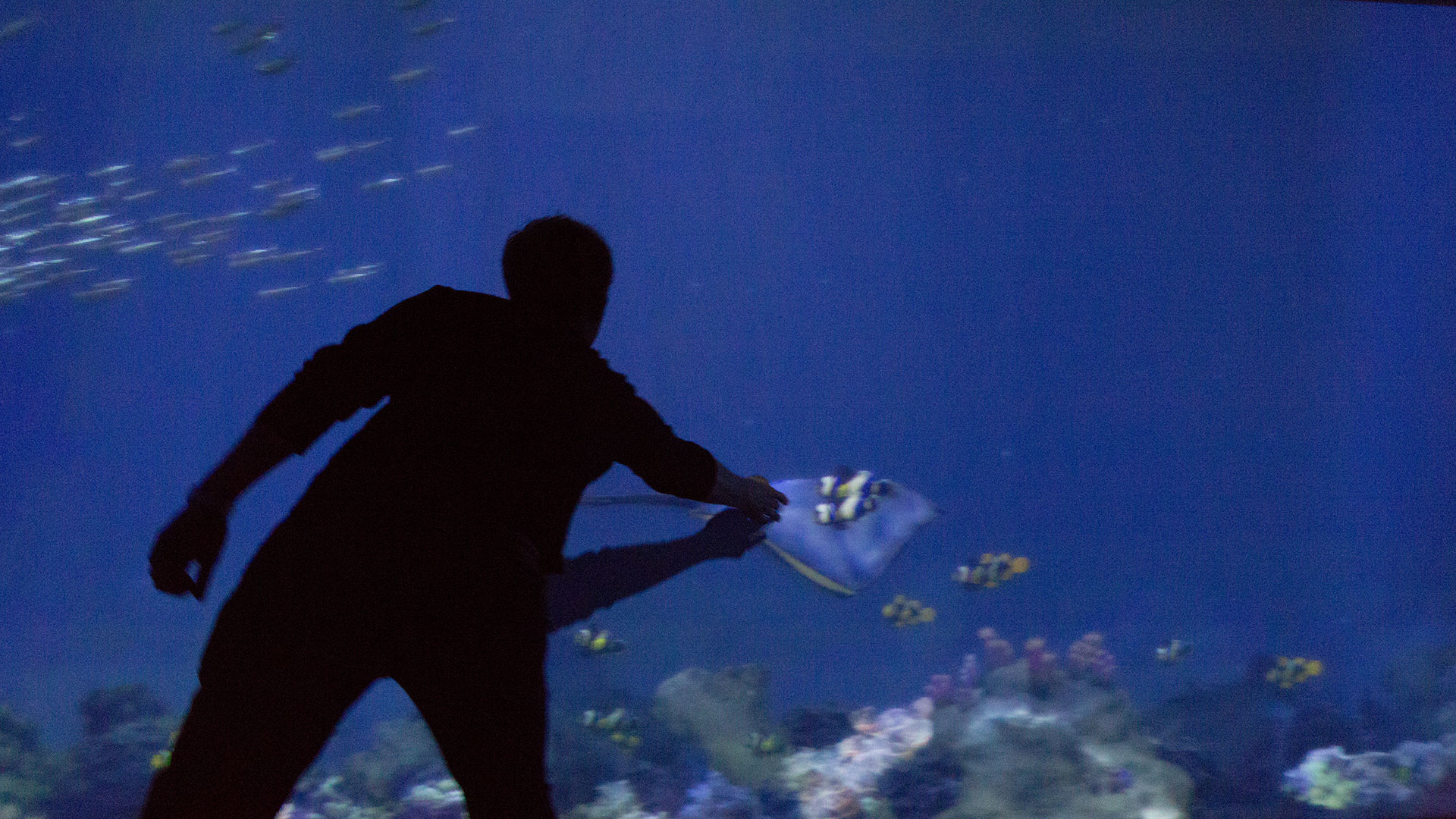 Deep Blue Interactive Aquarium (Immersive)