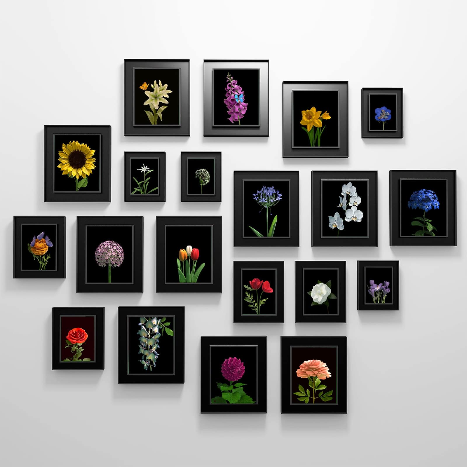 Dominic Harris, Official Artist Website