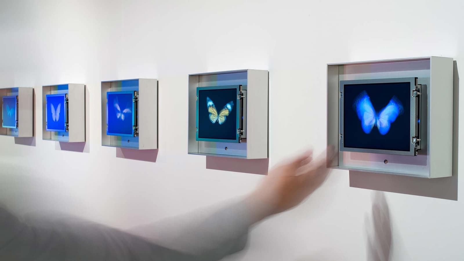 Dominic Harris, Official Artist Website