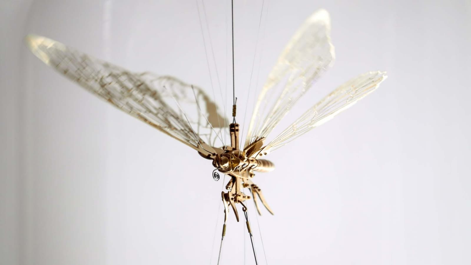 Dominic Harris, Official Artist Website