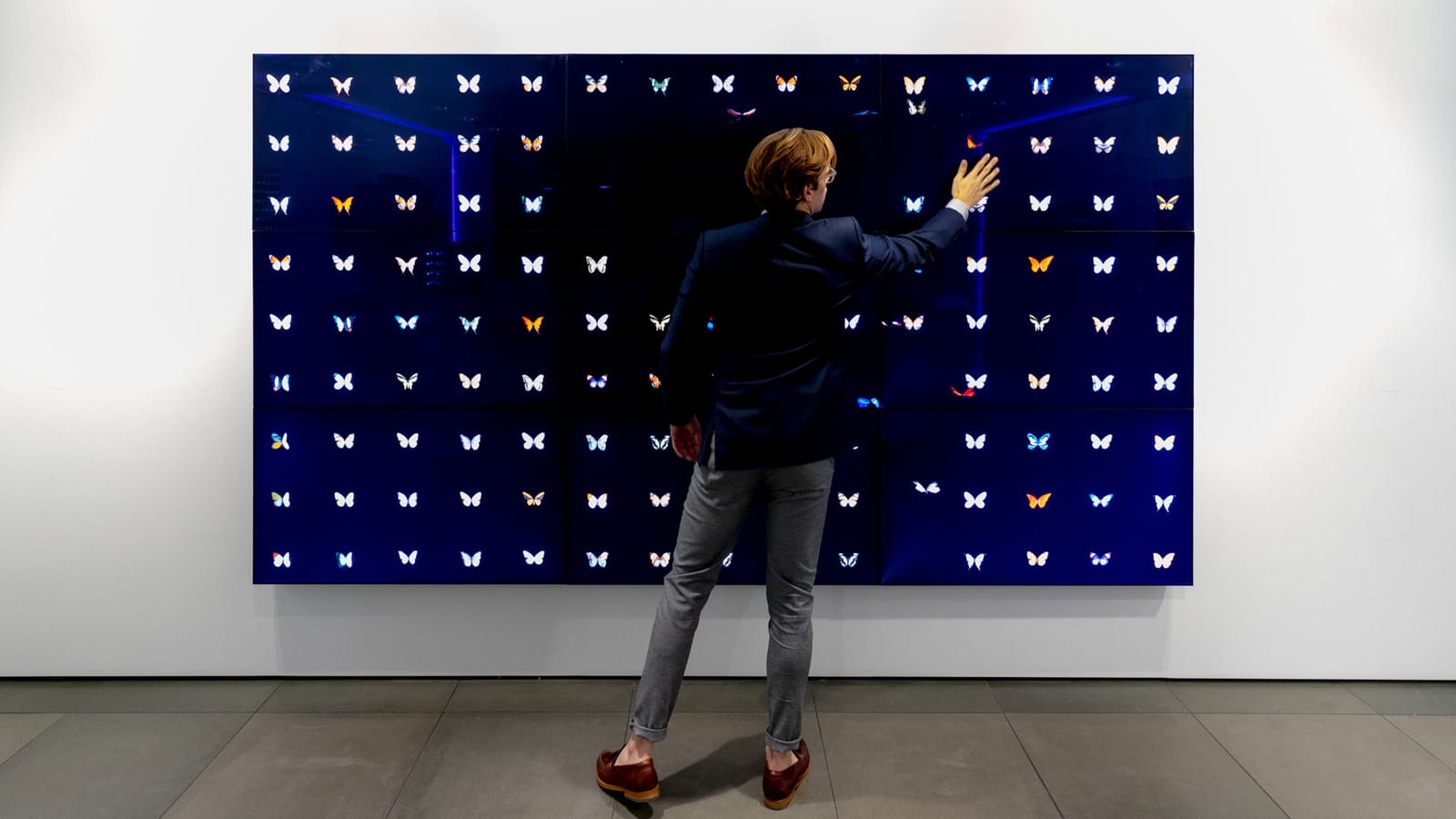 Flutter Wall