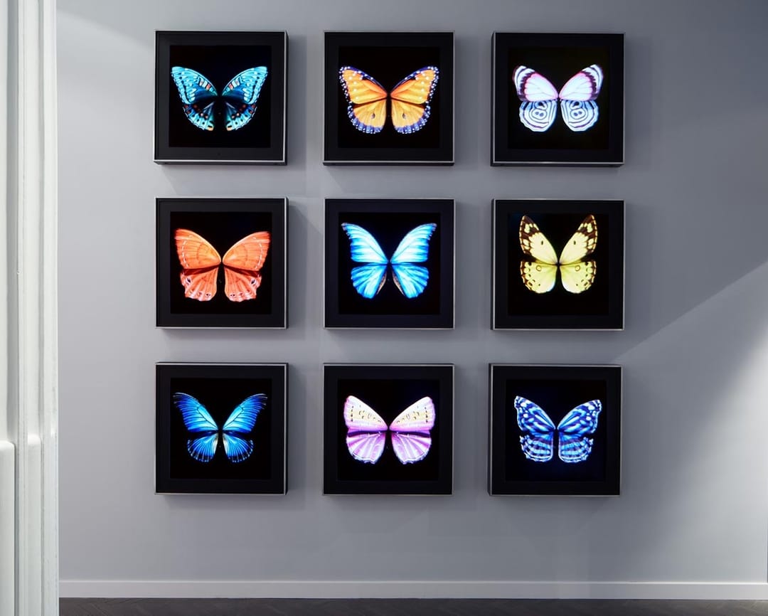 Dominic Harris, Official Artist Website