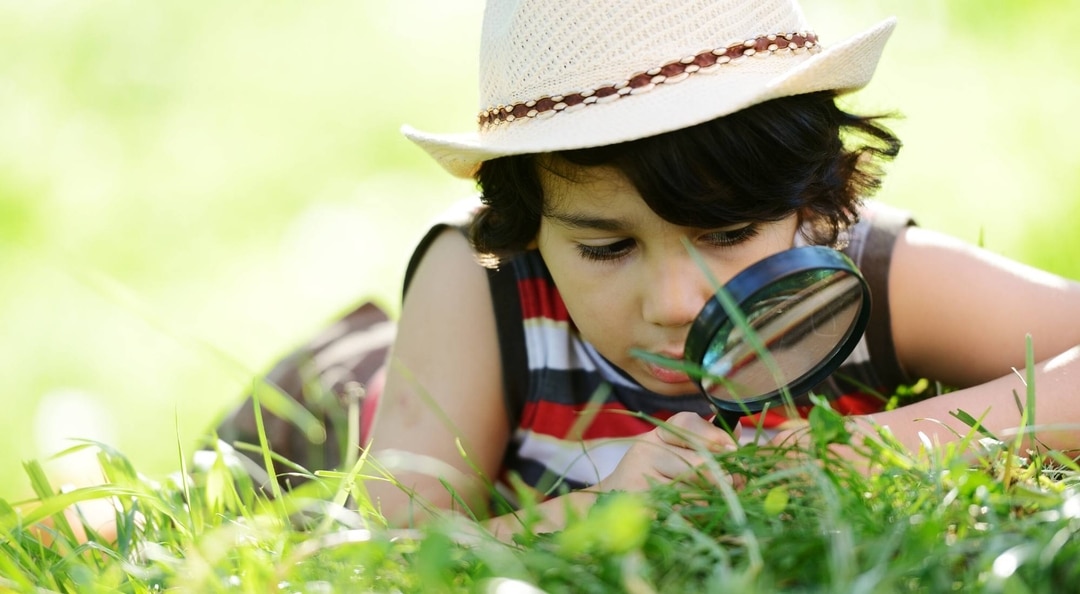 Outdoor Observation Log Activity | Tiny Tails to You
