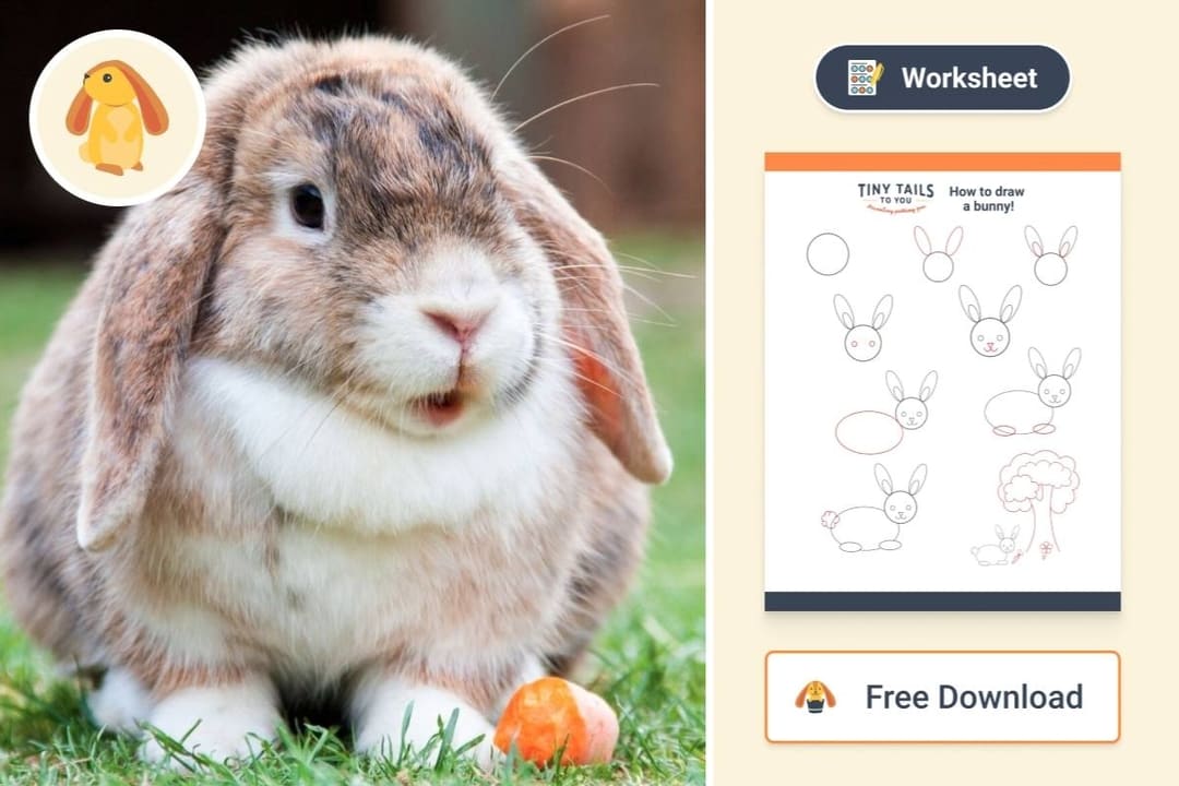 Worksheets Activities | Tiny Tails to You