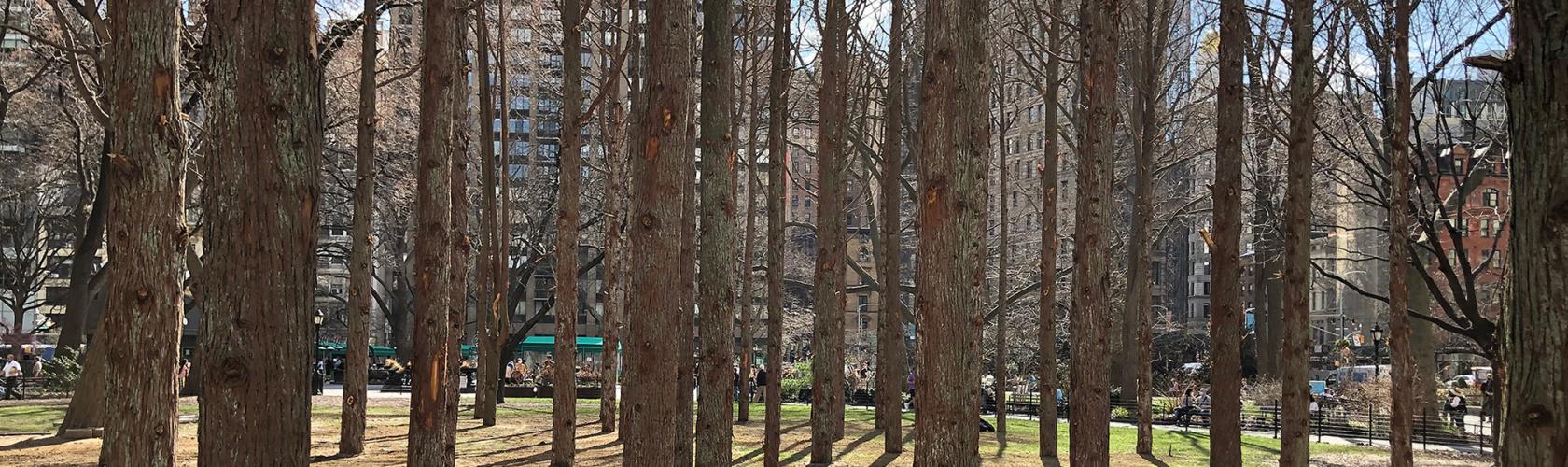 Maya Lin Builds a Final Monument to the Climate