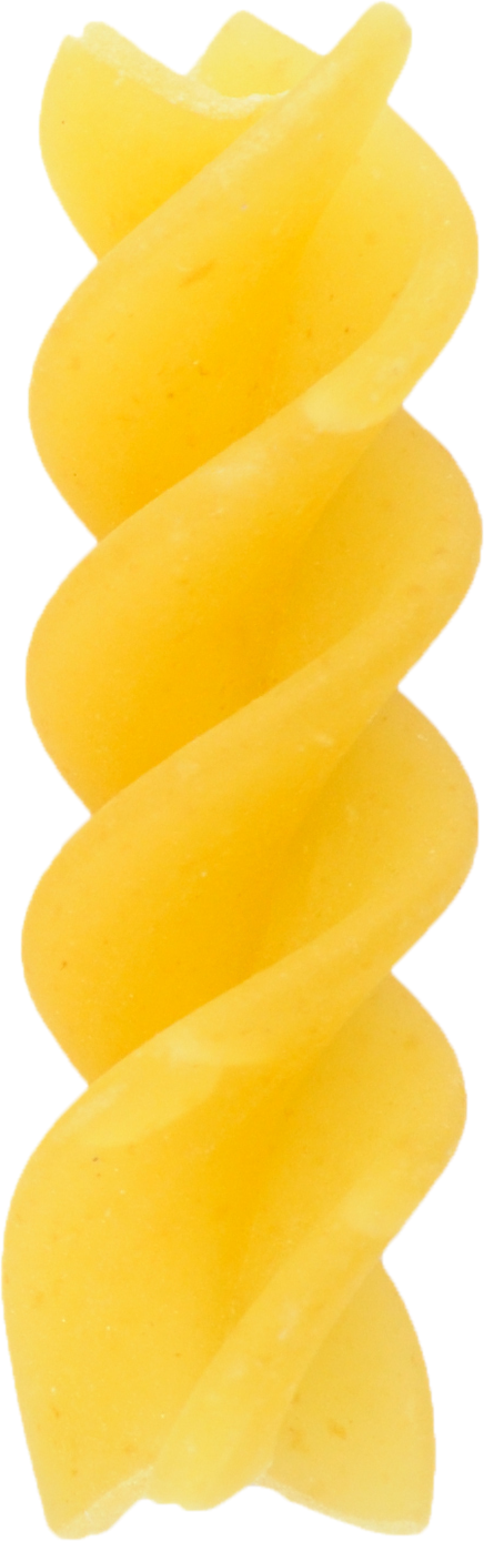 Bronz Rotini | PASTAVİLLA