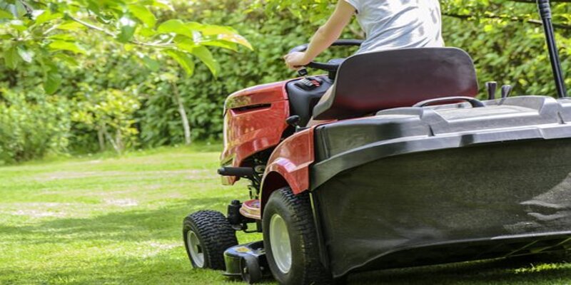 Hiring a Lawn Care Expert: Essential Factors to Remember