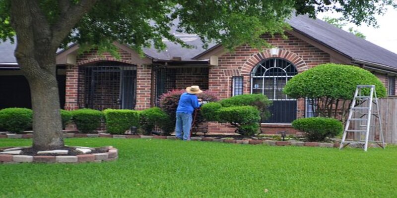 Hiring a Lawn Care Expert: Essential Factors to Remember