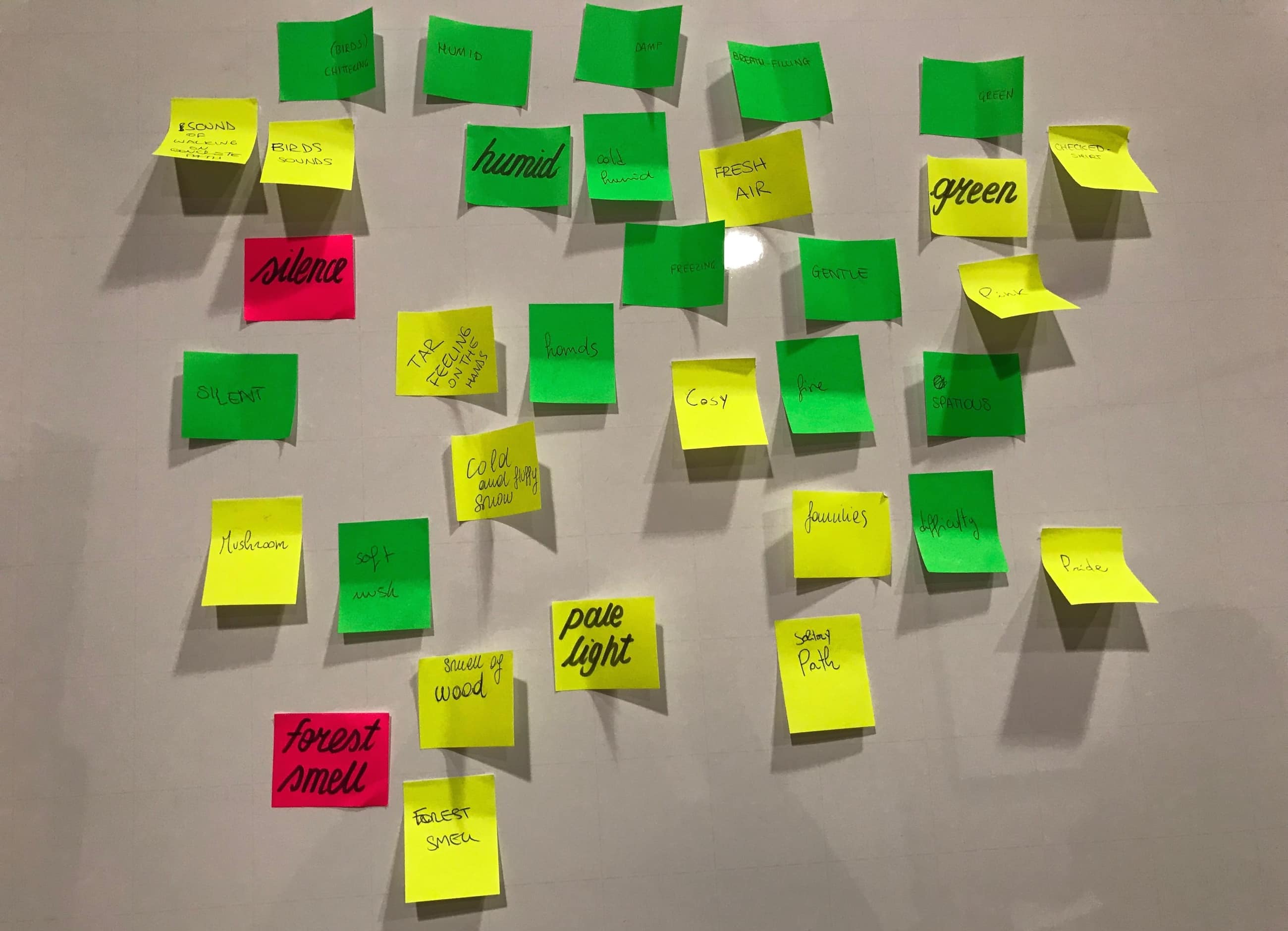 Evoking the Senses - Re-imaginary