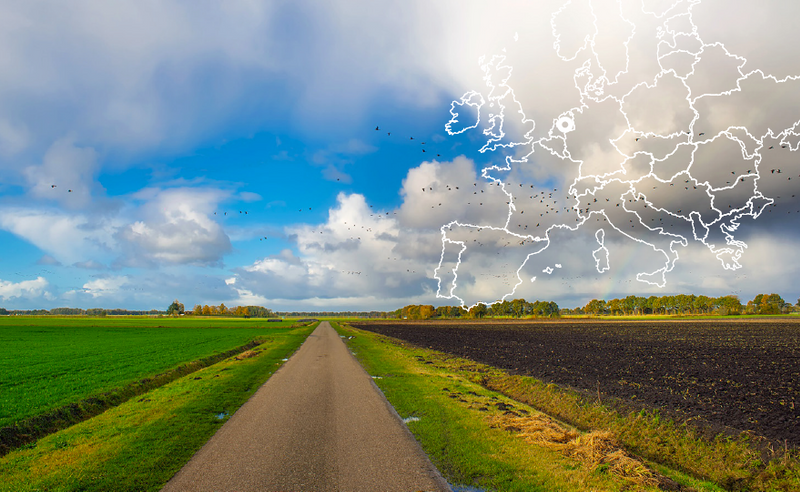 Free Open-Access Artworks and Botanical illustrations - Re-imaginary