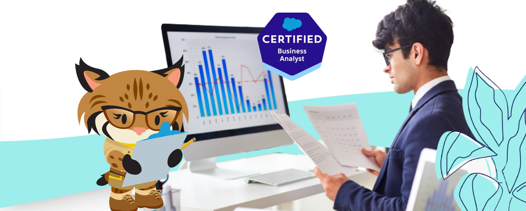 Expert Guide To The Salesforce Business Analyst Certification | PhoneIQ