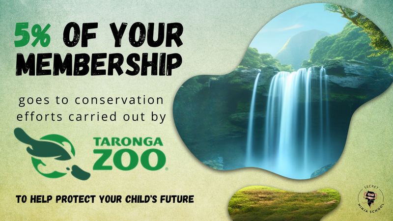 Secret Ninja School - Member Home