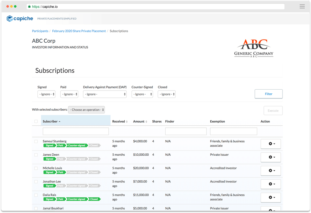 Capiche - Capital raising simplified