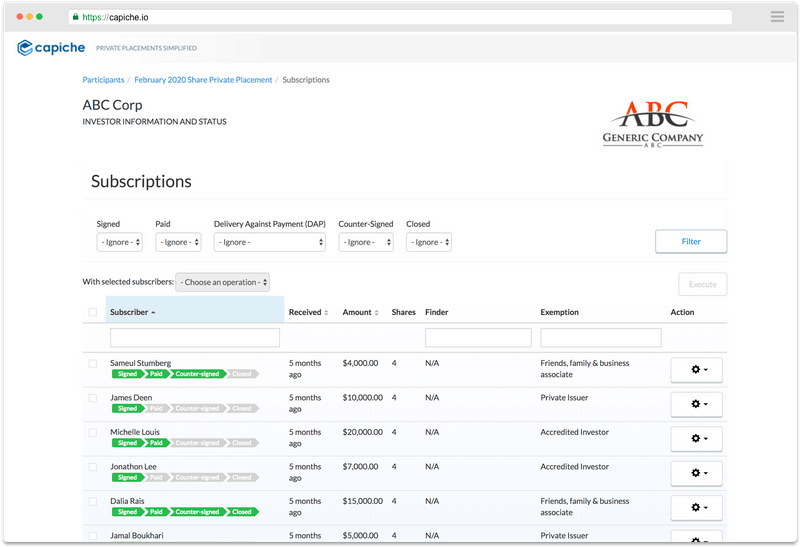 Capiche - Capital raising simplified