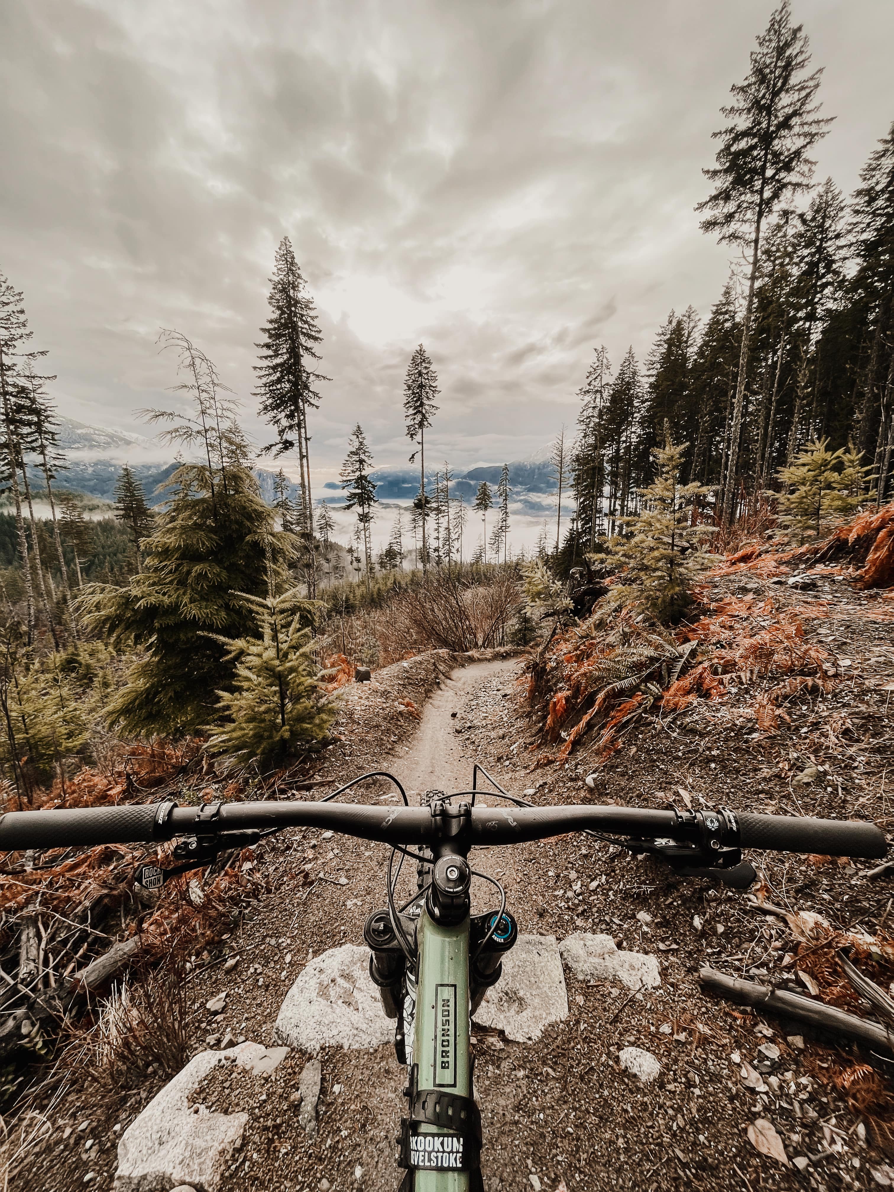 Women's MTB Fitness | Online Mid-Season (Maintenance) Fitness Training ...