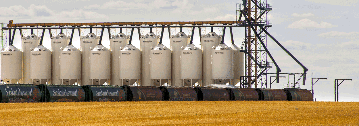 AGT Foods Bulk Loading and Handling Facilities | Arbel Group