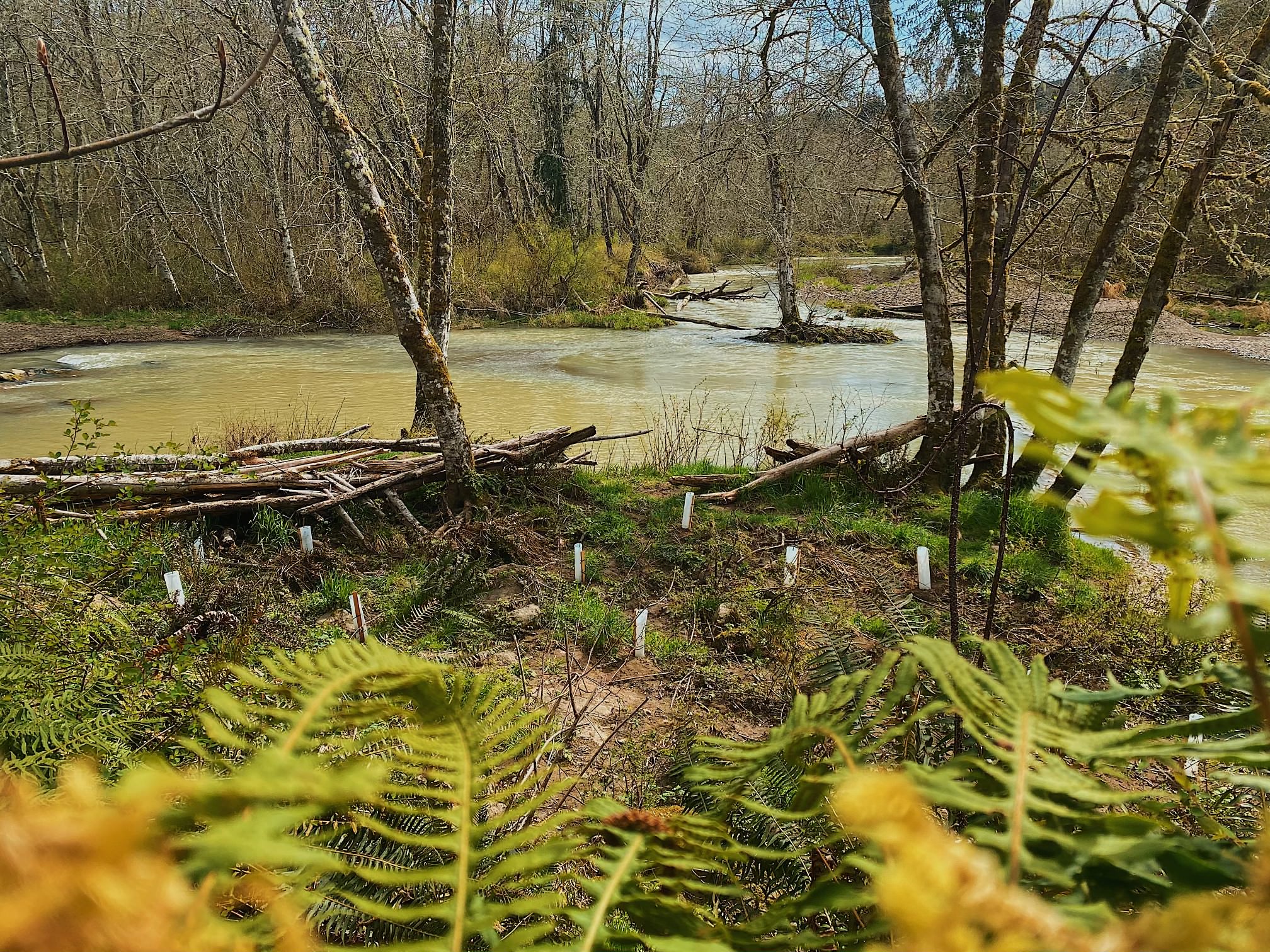 VSP for New Counties!