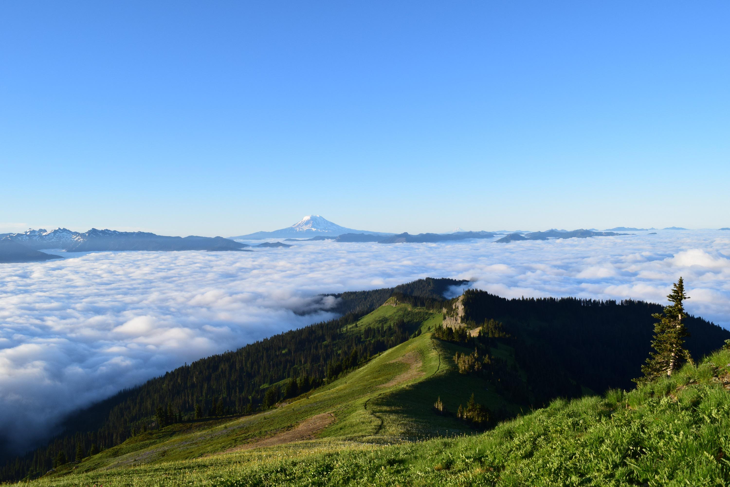 Washington State Conservation Commission News