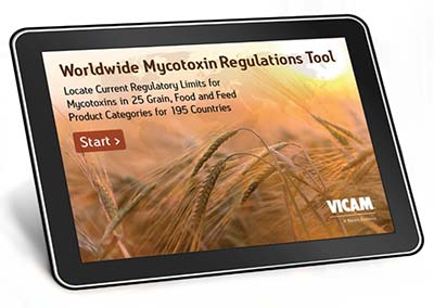 Accurately Test for Aflatoxins in only 5 Minutes with Afla-V