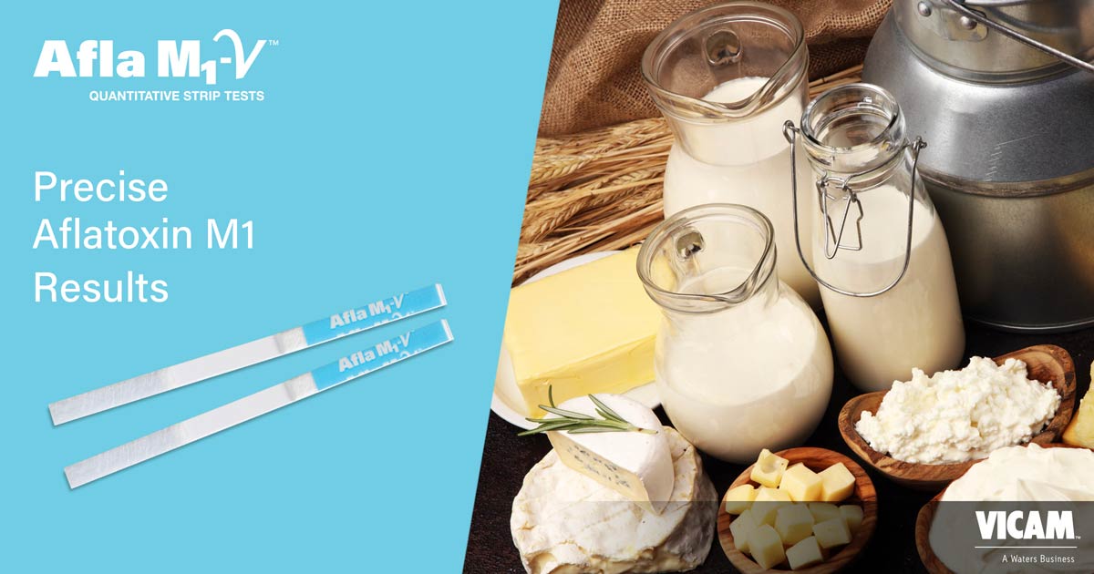 Precisely Detect Aflatoxin M1in Minutes with Afla M1-V Strip Tests