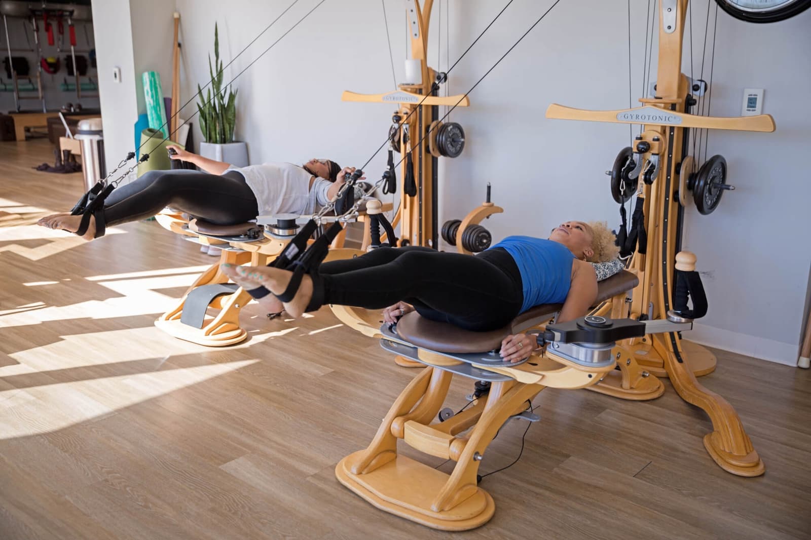 Gyro What? Understanding the Gyrotonic Expansion System