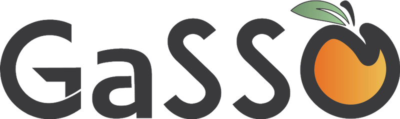 GaSSO | Georgia Student Scholarship Organization