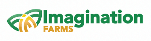 Home - Caribbean Broilers Group