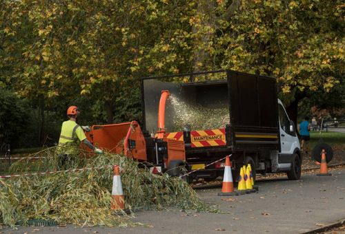 AGS - Tree Services