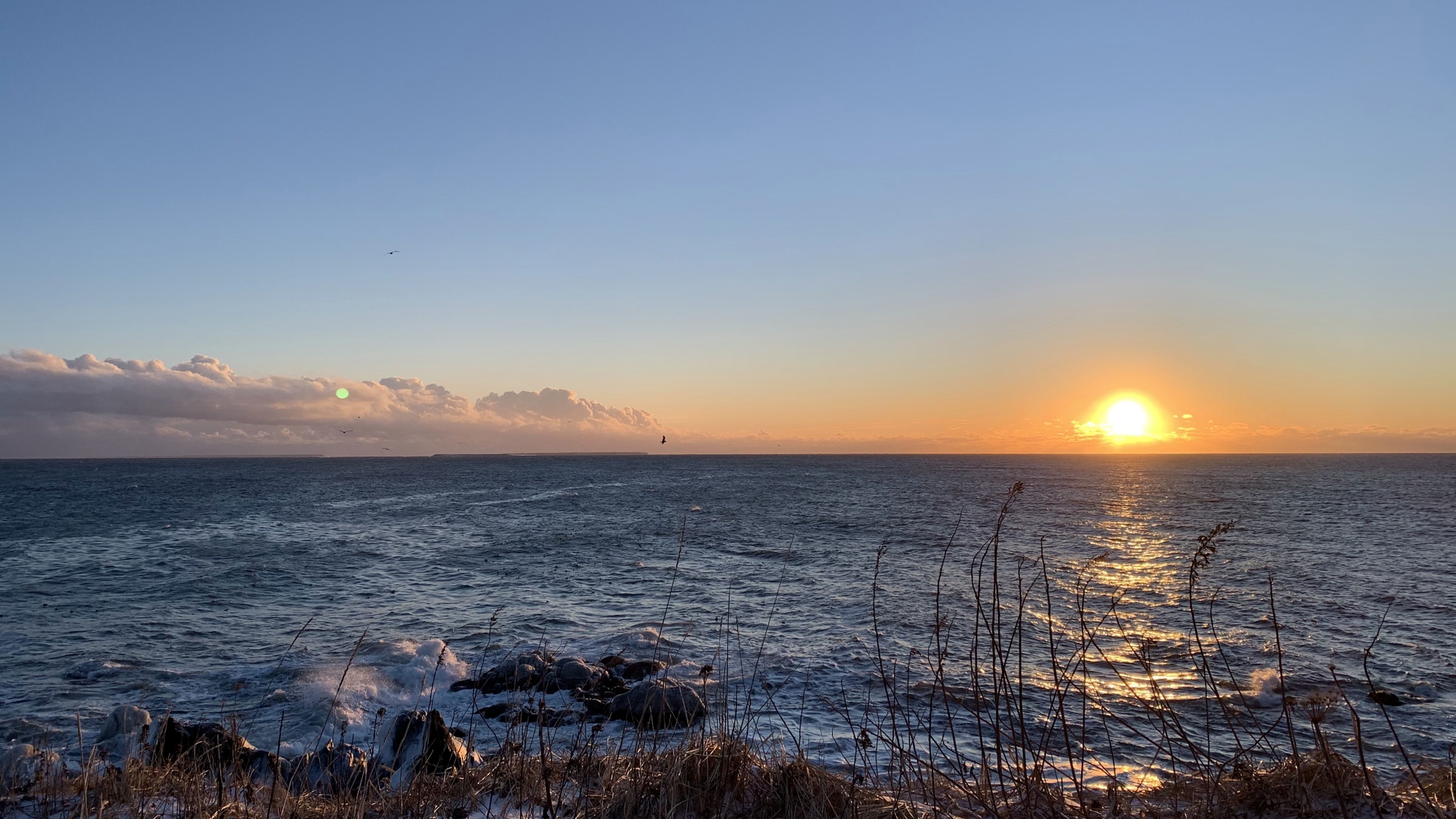 everblue Technologies - News Page