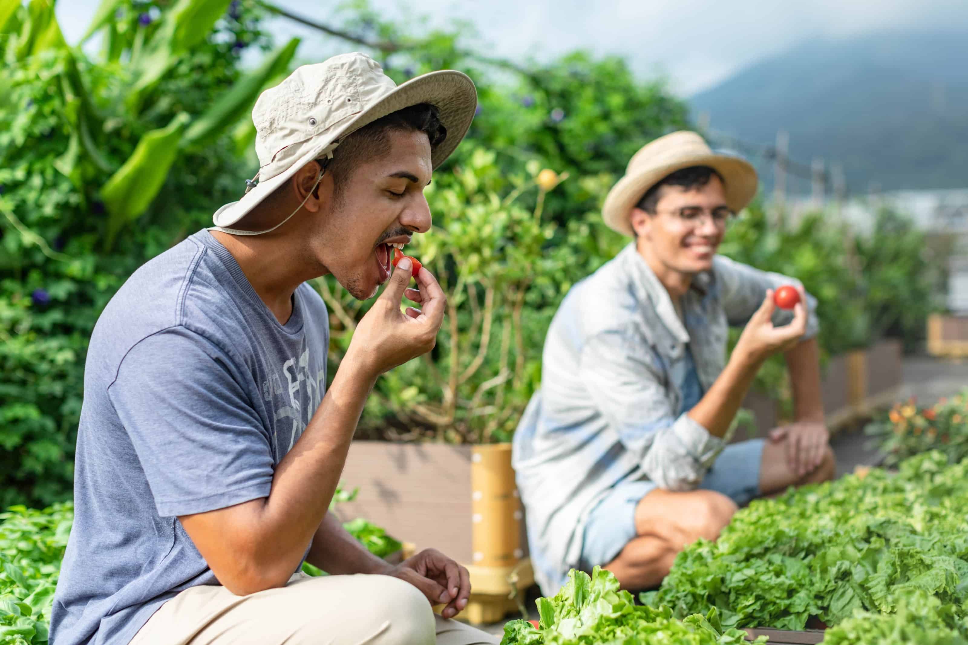 PlanterGo | Go Farm Anywhere