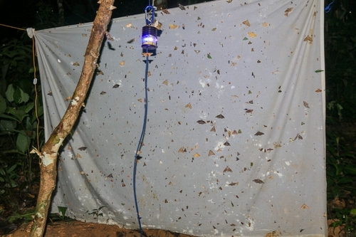 Dr. Gunnar Brehm | LepiLED