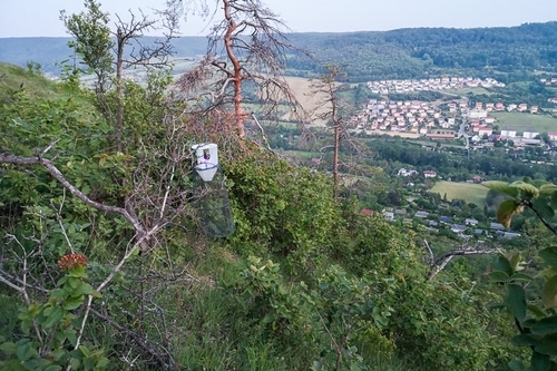 Dr. Gunnar Brehm | LepiLED