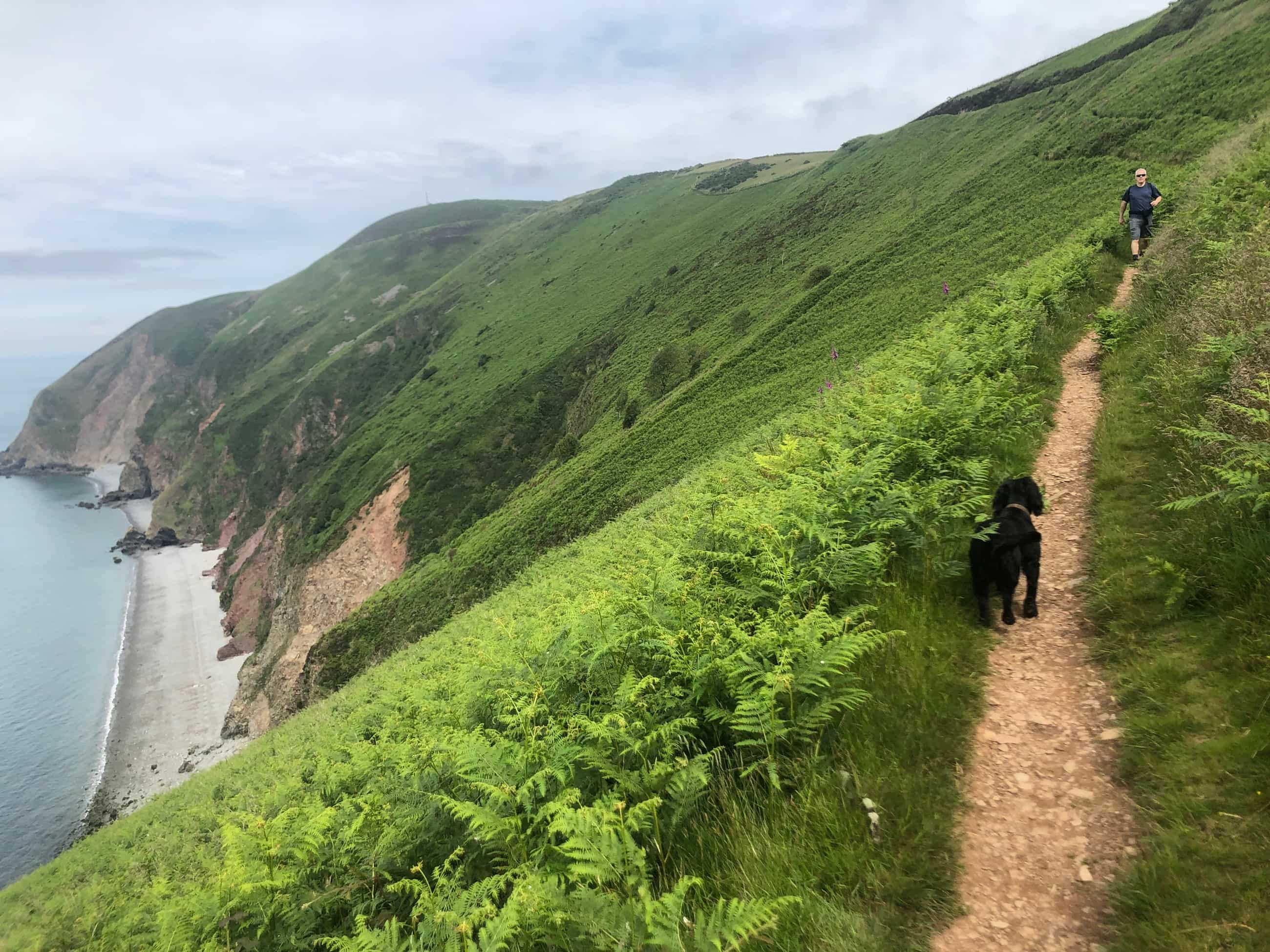 Porlock Weir to Lynton: Walk The South West Coast Path
