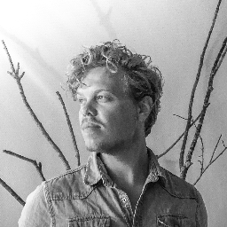 Daniel Petersen - Webflow