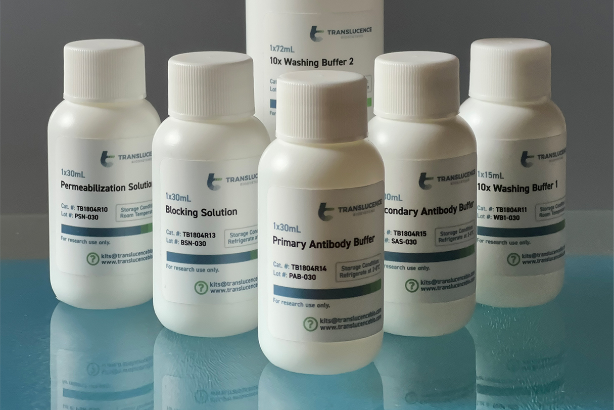 Neuronal Activity Tissue Clearing Kit