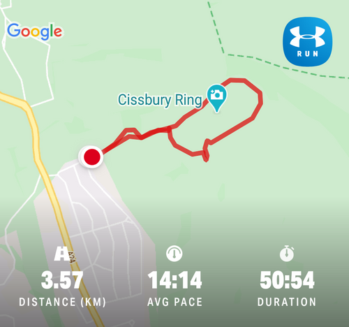 Dog Walk at Cissbury Ring