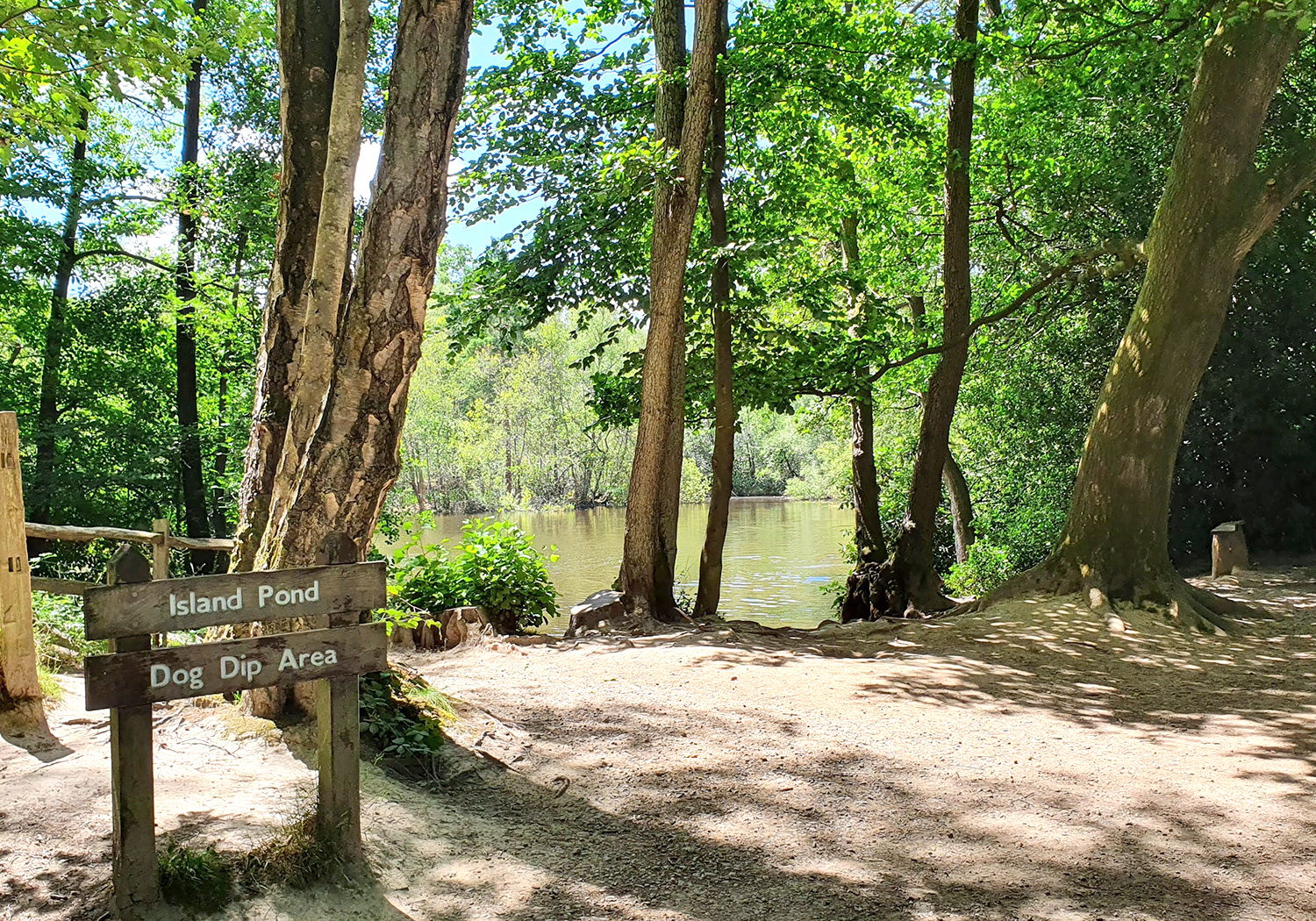 Dog Walk at Buchan Country Park
