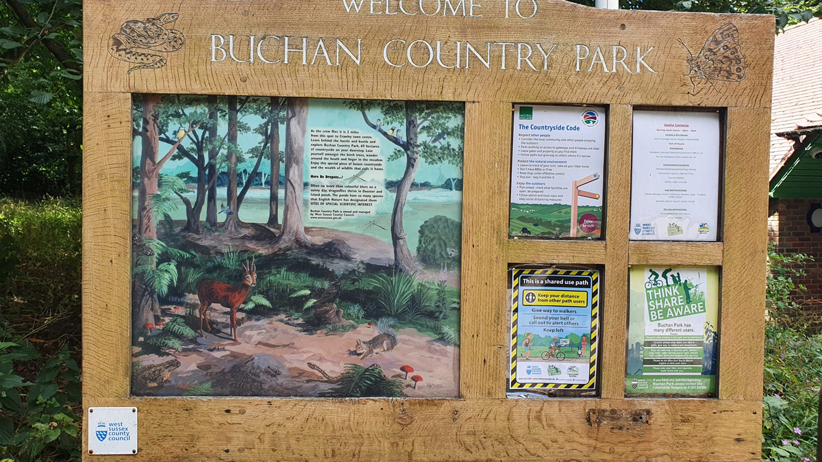 Dog Walk at Buchan Country Park