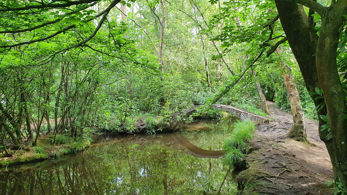 Dog Walk at Sandgate Park